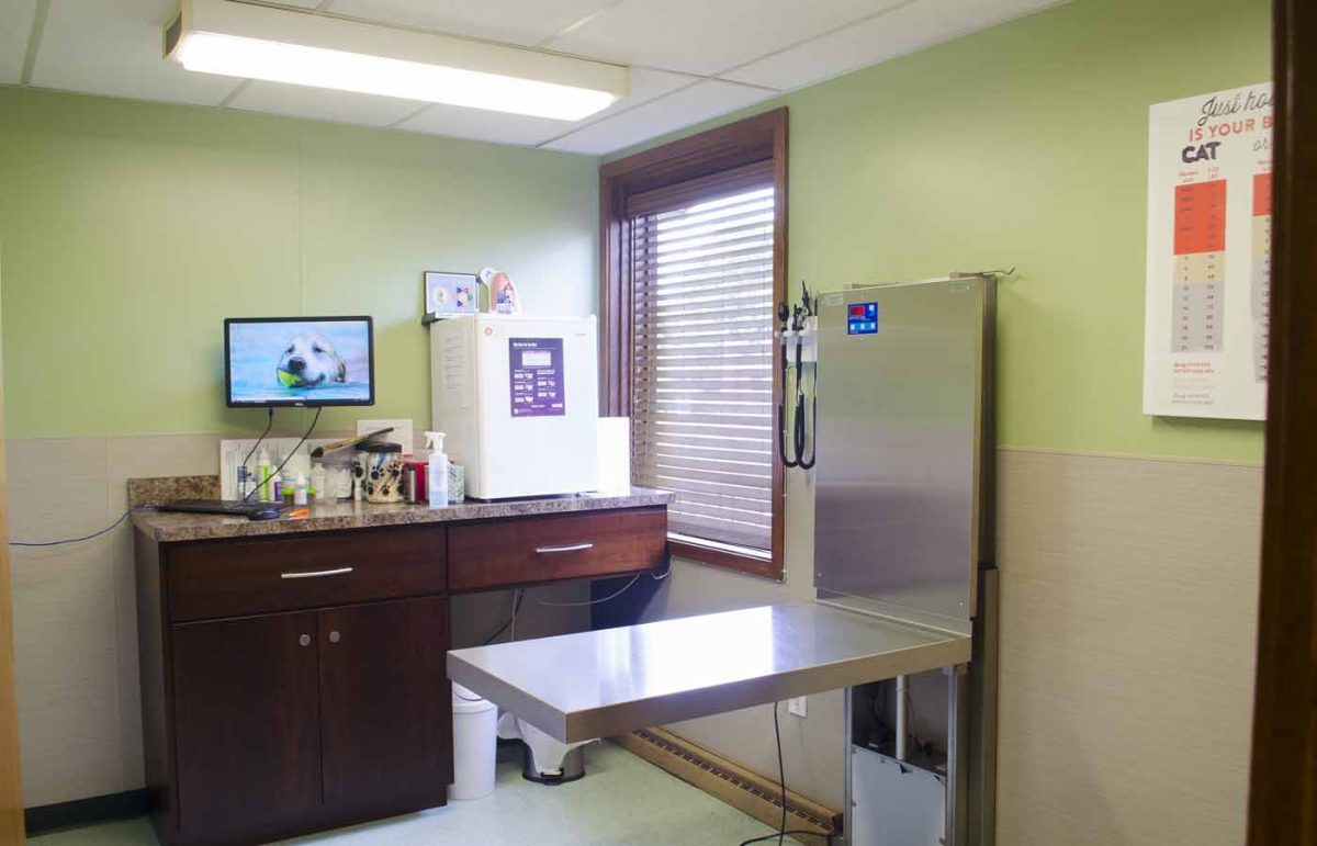 Wellness & Prevention - Vet in North Canton | Vet Wellness Center